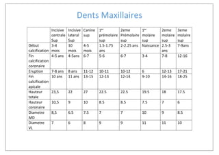 dents maxillaires.pdf