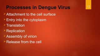 Introduction to Dengue Virus (virology).pptx