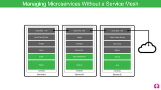 Standardizing Microservice Management With a Service Mesh | PPT
