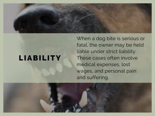 Denver Dog Bite Attorney | PPT