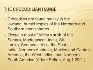 Crocodiles | PPTX