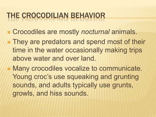 Crocodiles | PPTX