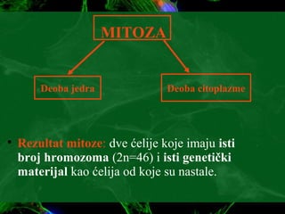 Deoba ćelije | PPT