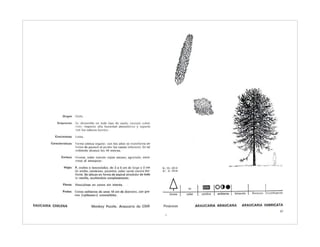 Deodendron. Arboles y arbustos clasificacion.pdf