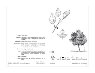 Deodendron. Arboles y arbustos clasificacion.pdf