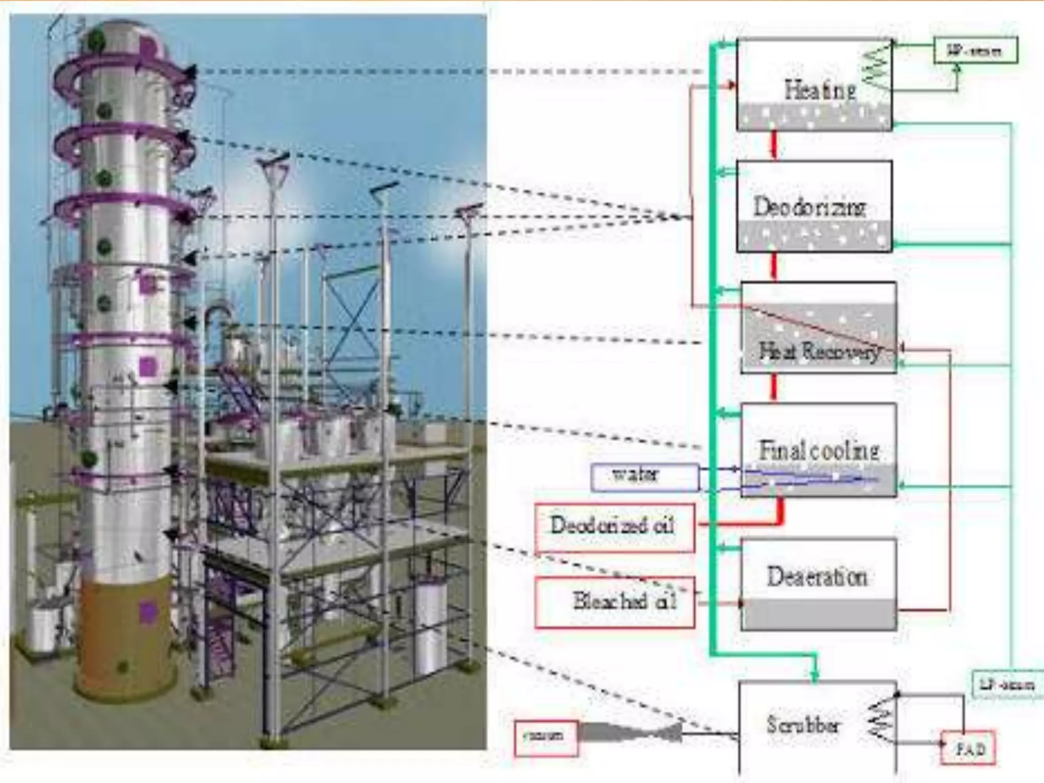 Deodorization in vegetable oil production | PPTX
