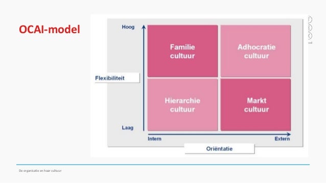 De organisatie en haar cultuur