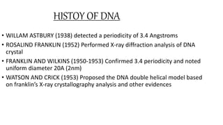 Deoxyribonucleic acid | PPTX