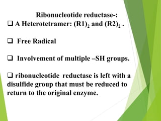 Deoxyribonucleotides | PPTX | Chemistry | Science
