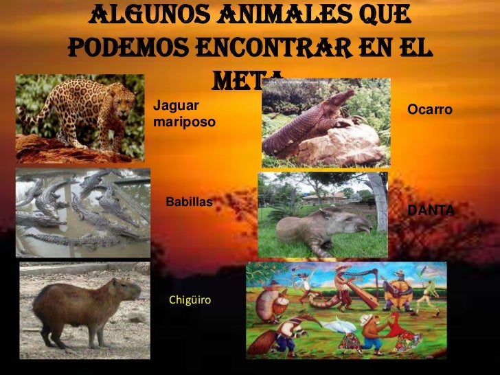 Departamento del meta