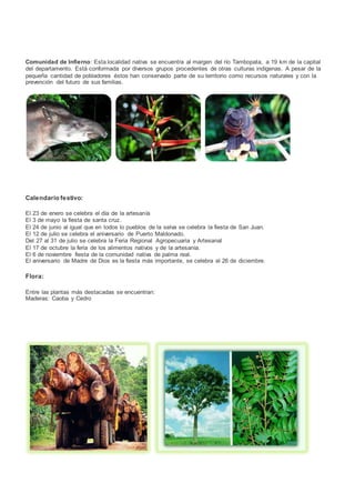Departamento de madre de dios | DOCX