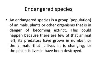 Departmental endangered species | PPTX