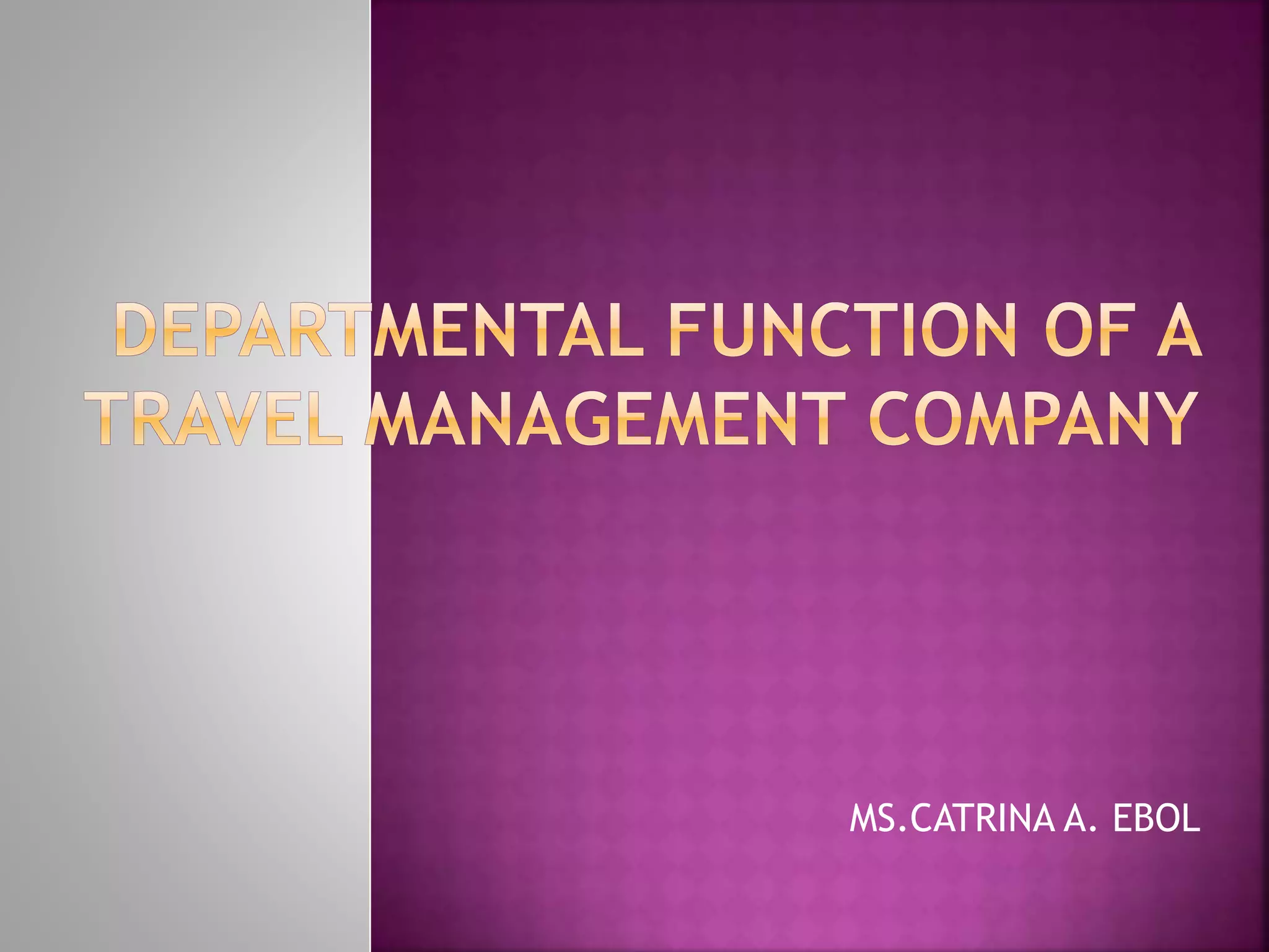 MS.TLE Departmental function of a travel management company | PPTX