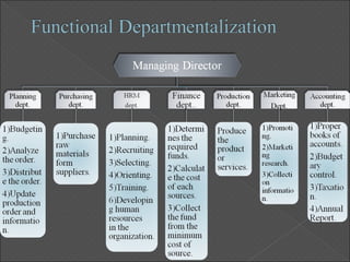 Departmentalization | PPT