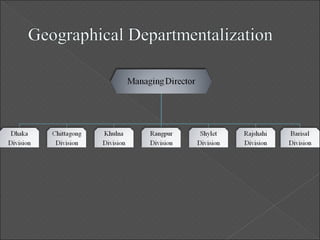 Departmentalization | PPT