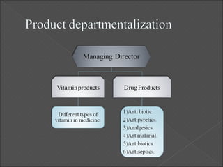 Departmentalization | PPT