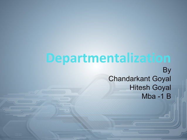 Departmentalization | PPT | Business Administration | Business