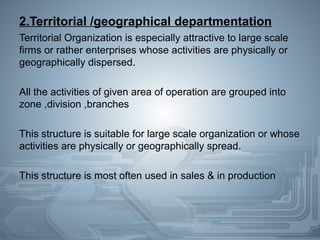 Departmentalization | PPT