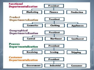 Departmentalization | PPT