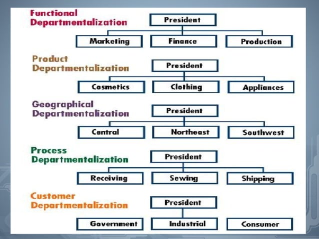 Departmentalization | PPT