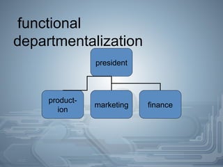 Departmentalization | PPT