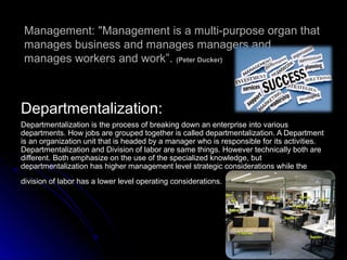 Departmentalization in an Organization | PPT