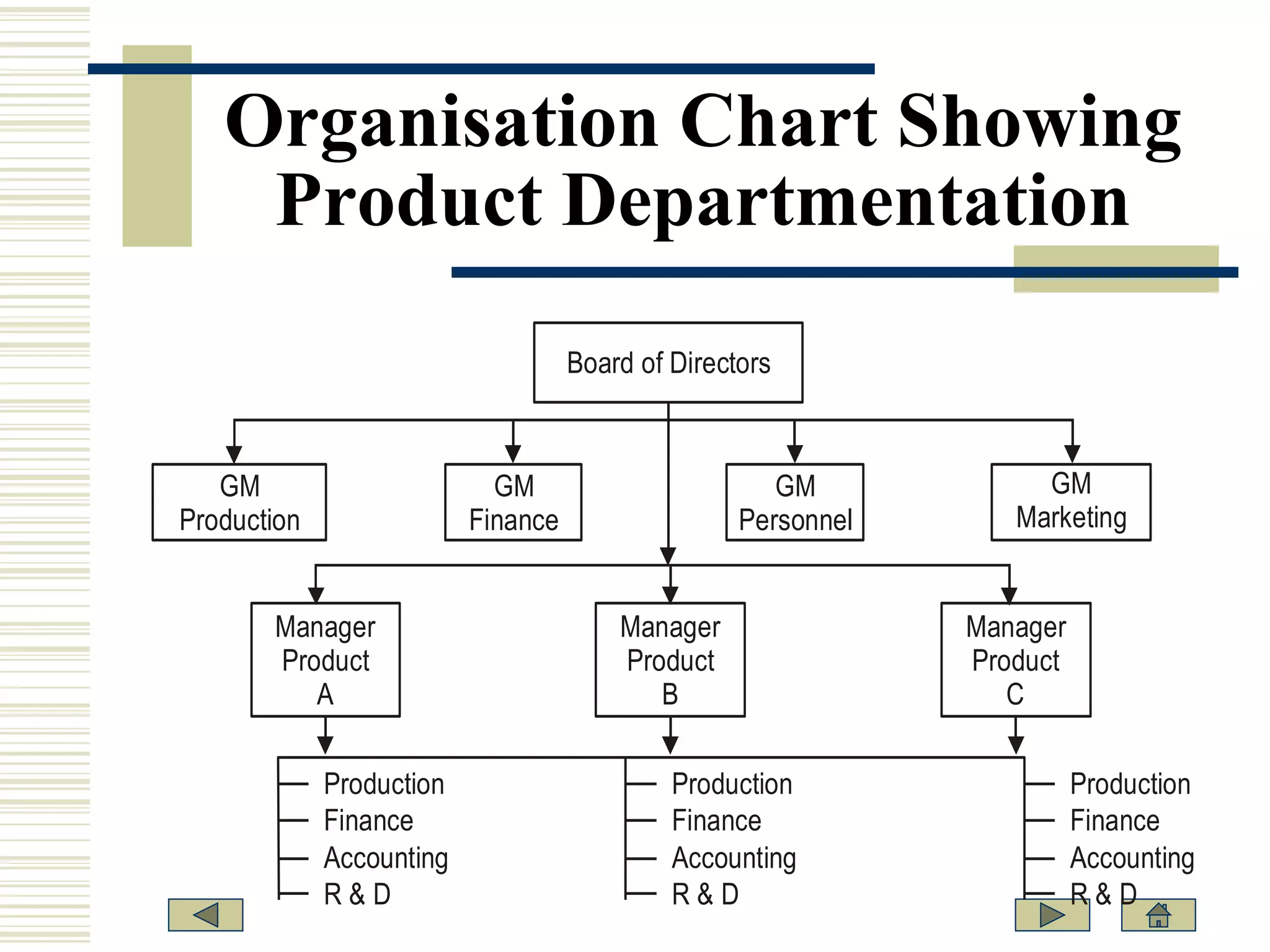 Departmentation | PDF