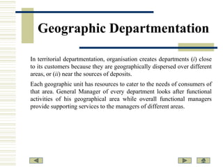 Departmentation | PDF