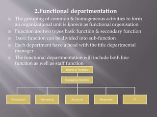 Departmentation | PPTX
