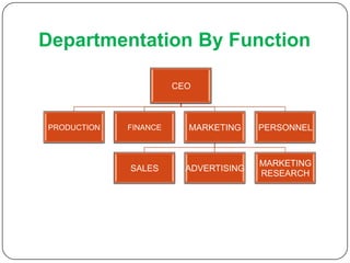 Departmentation methods | PPT