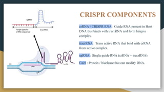 CRISPR-Cas9 | PPTX | Programming Languages | Computing