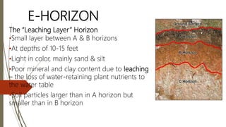 Department of forest and environmental science syed | PPTX