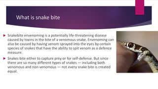 Types of Snakes bite and their management | PPT