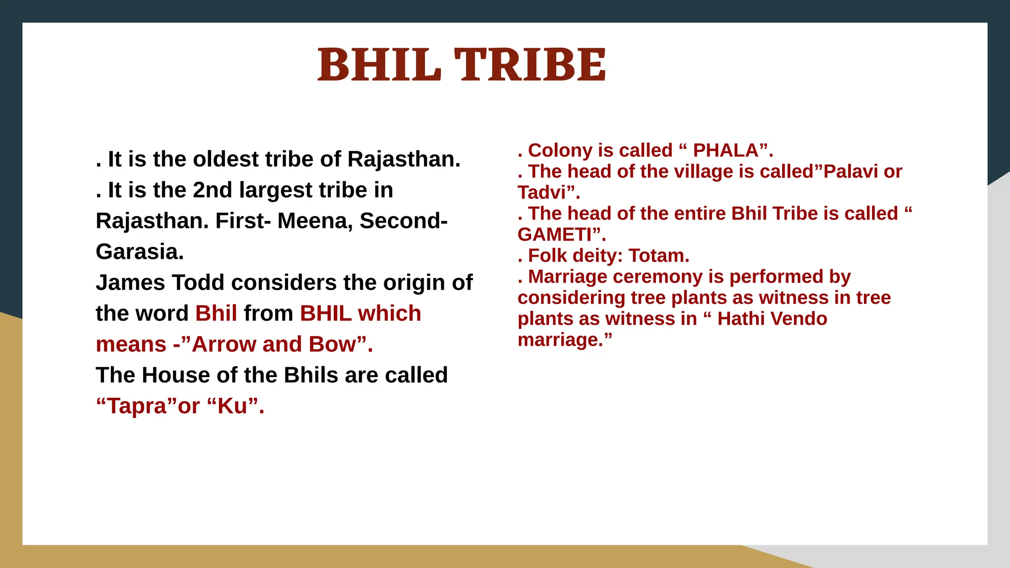 Tribes Of Rajasthan.pptx