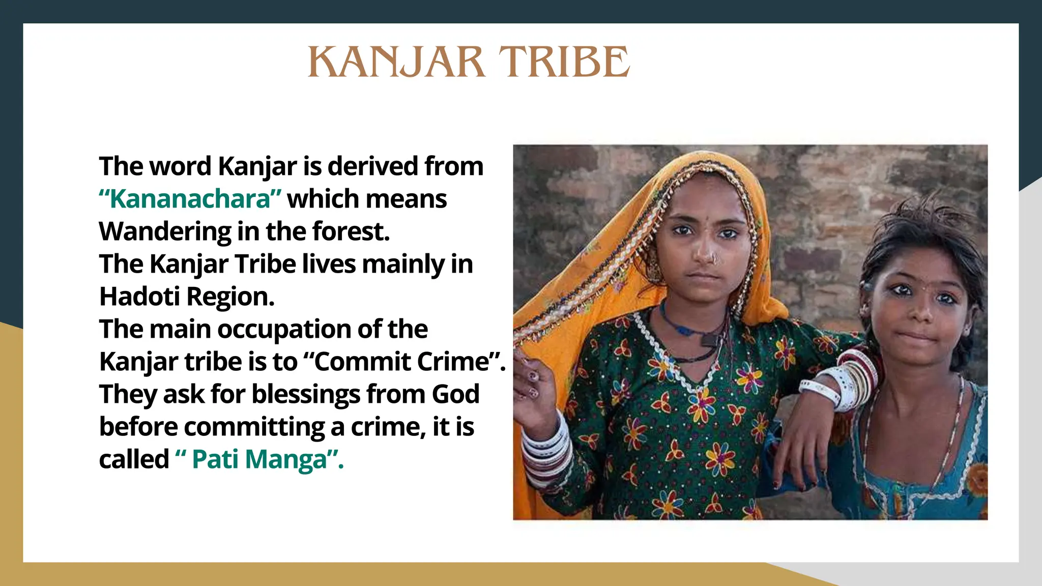 Tribes Of Rajasthan.pptx