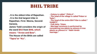 Tribes Of Rajasthan.pptx
