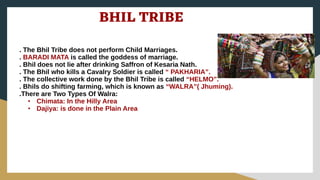 Tribes Of Rajasthan.pptx