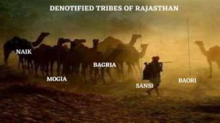 Tribes Of Rajasthan.pptx