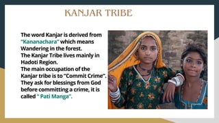 Tribes Of Rajasthan.pptx