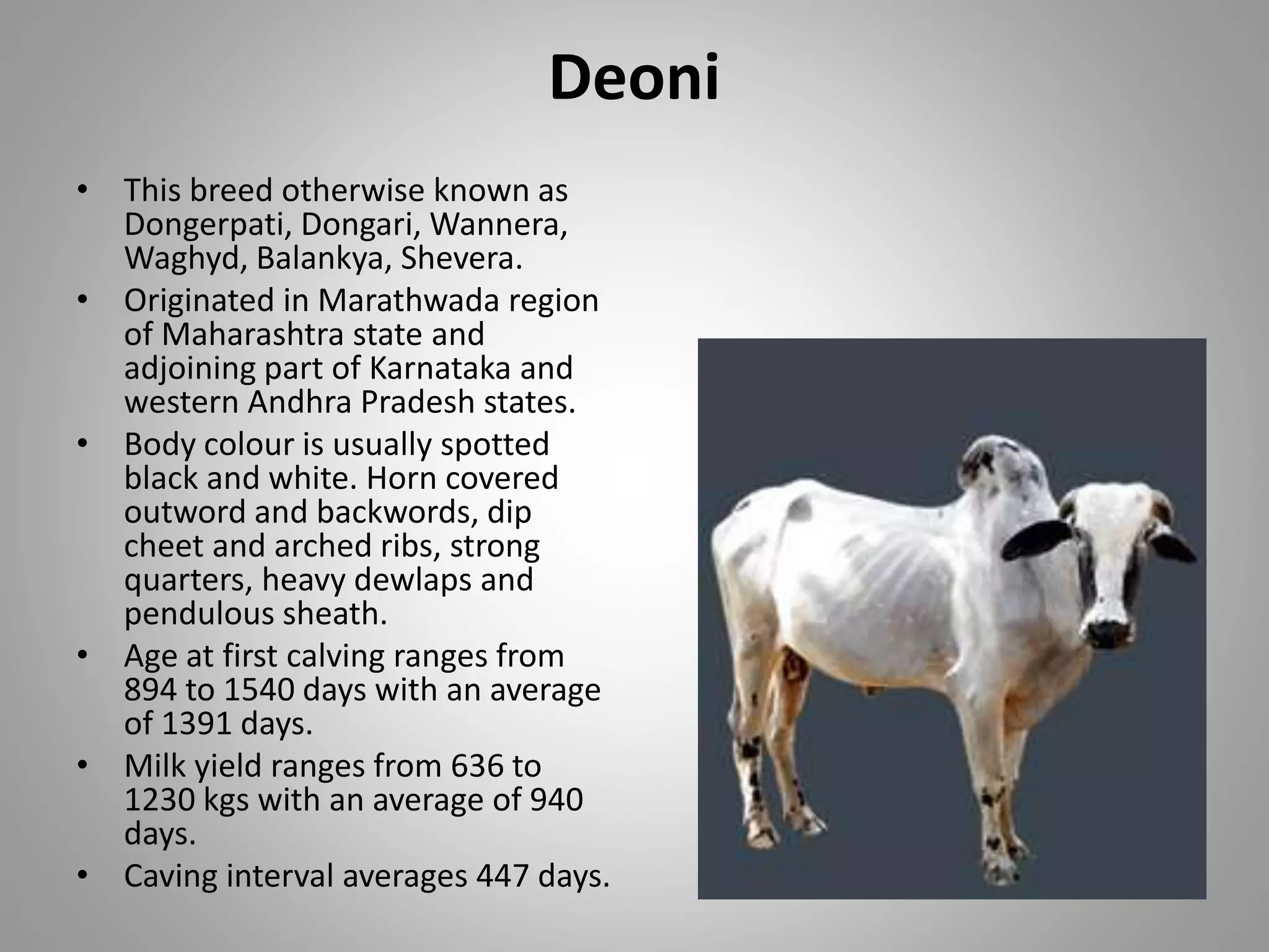 Breeds of cattle in india | PPTX