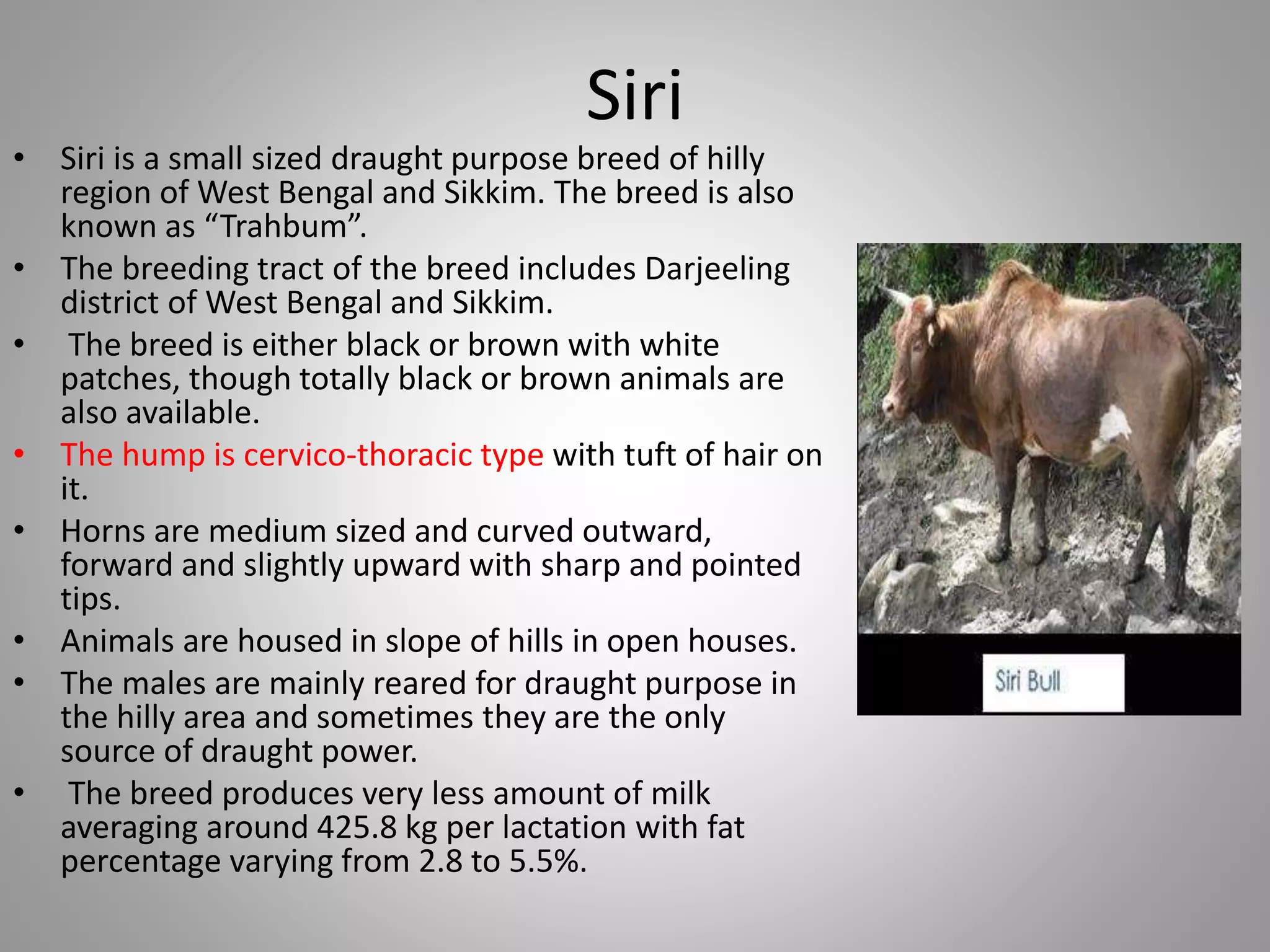 Breeds of cattle in india | PPTX