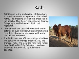 Breeds of cattle in india | PPTX