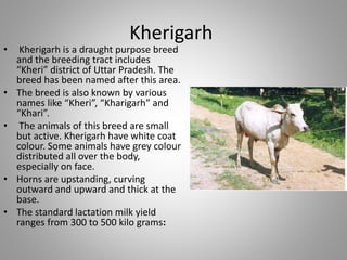 Breeds of cattle in india | PPTX