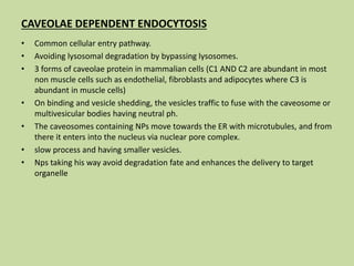 Pathways for cellular uptake of nanoparticles.pptx