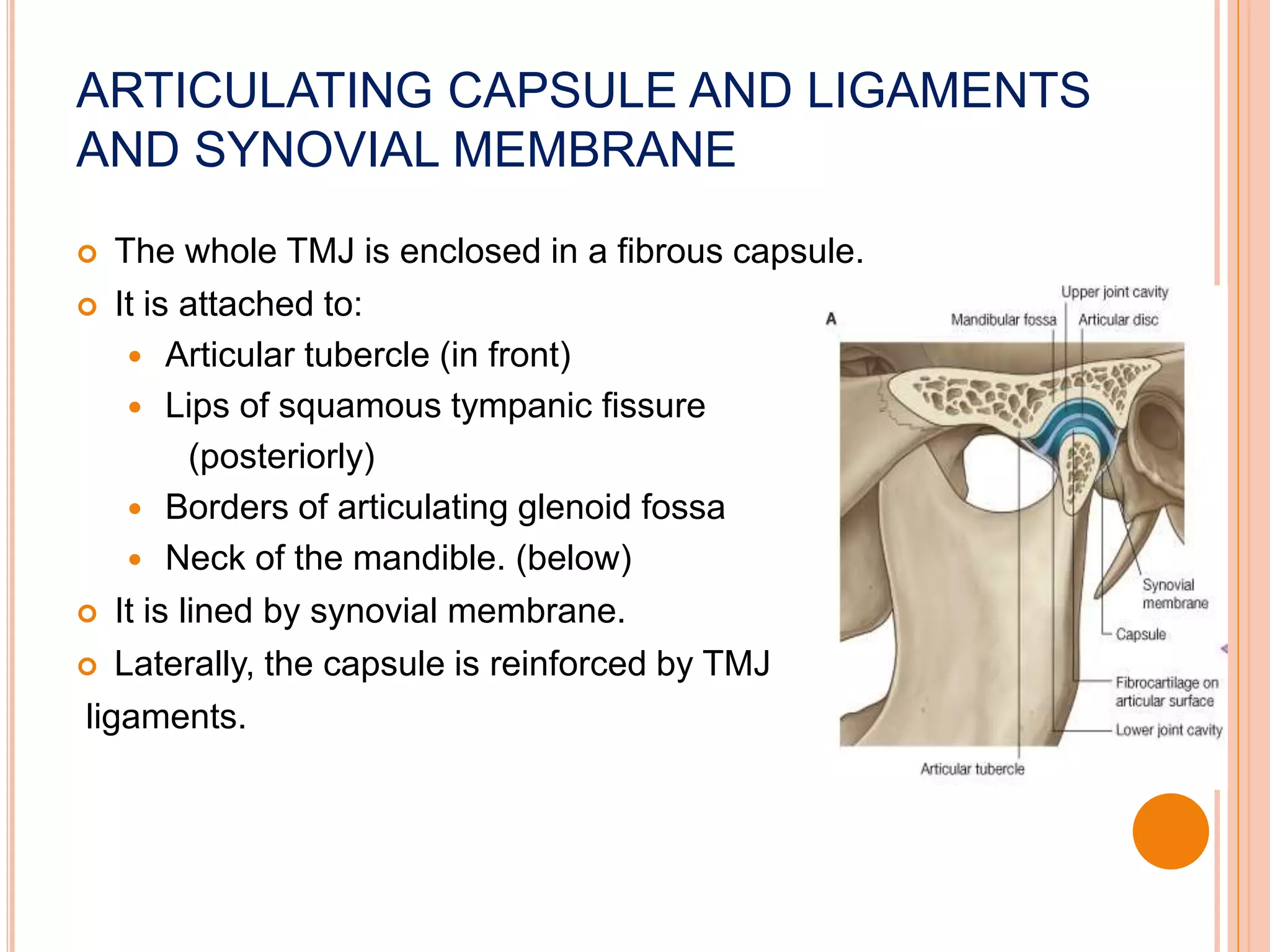 histology of tempromandibular joint | PPTX