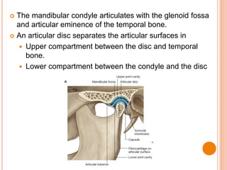histology of tempromandibular joint | PPTX