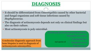 Actinomycosis, Tetanus, Syphilis.pptx