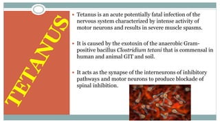 Actinomycosis, Tetanus, Syphilis.pptx