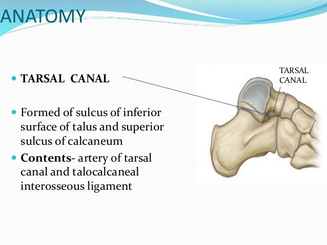 Talar Fracture