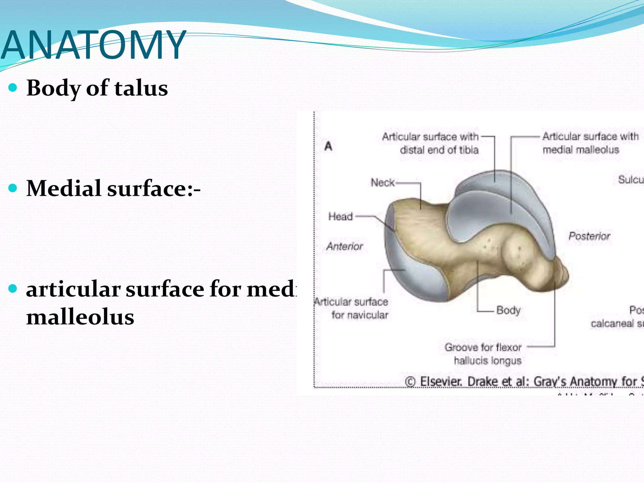 talus fracture | PPTX